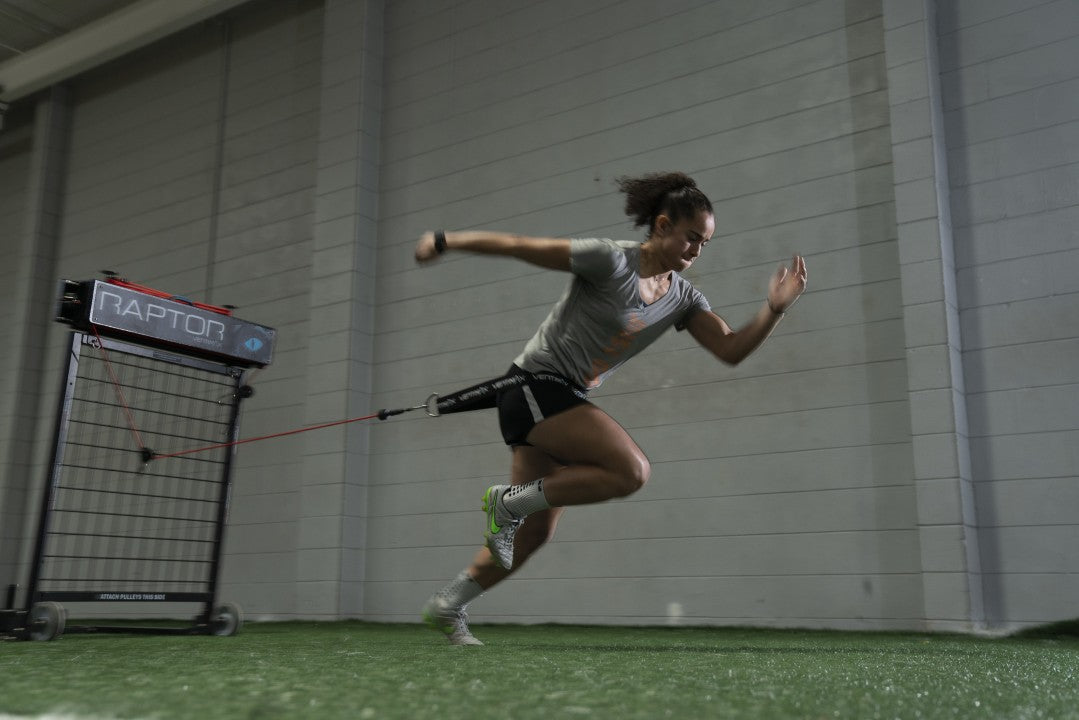 Vertimax Raptor Portable Mounting Device/Fence Training System